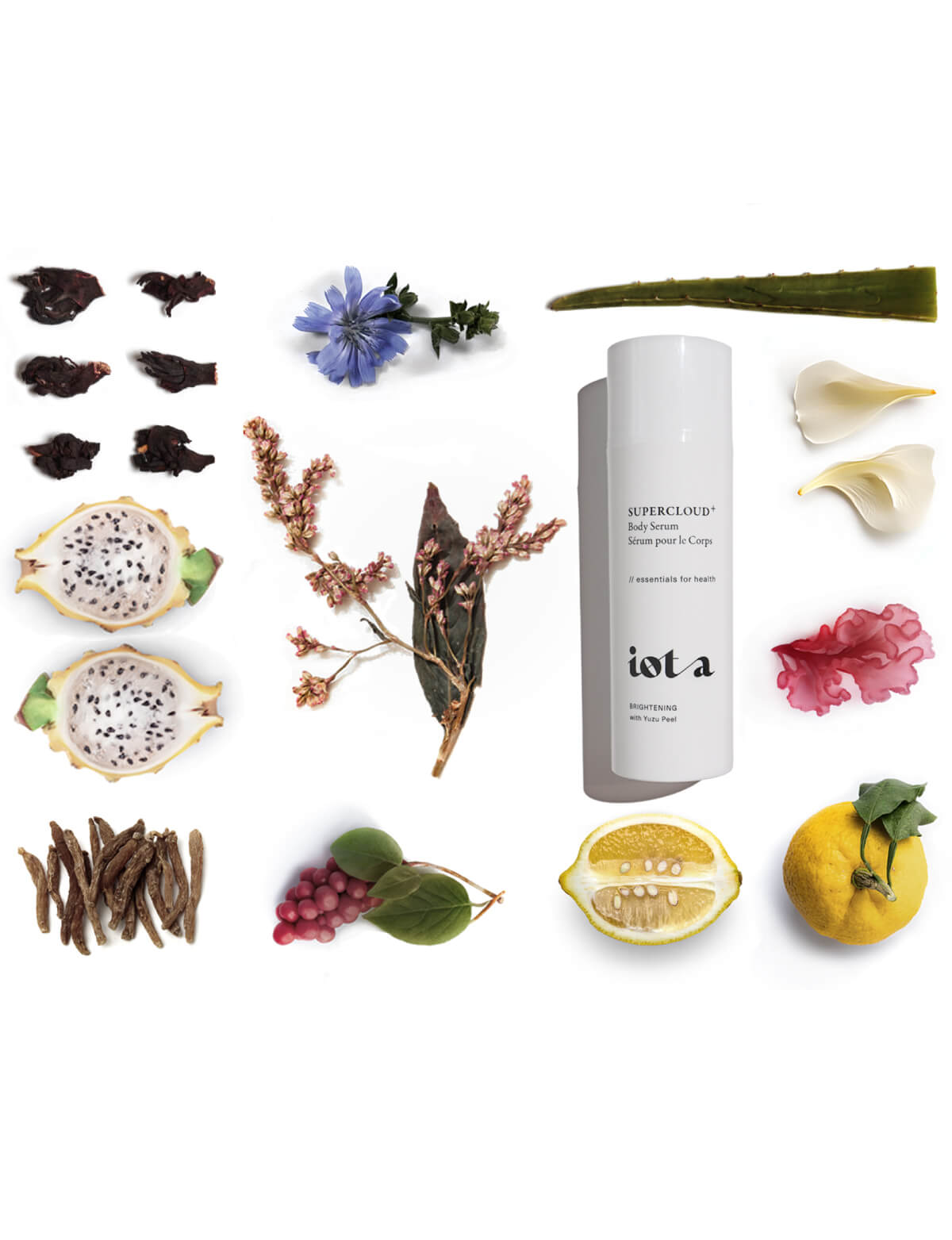 iota | Nutritional Bodycare | essentials for health